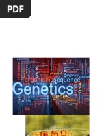 The Gene: A History of Genetics | PDF | Genetics | Gene