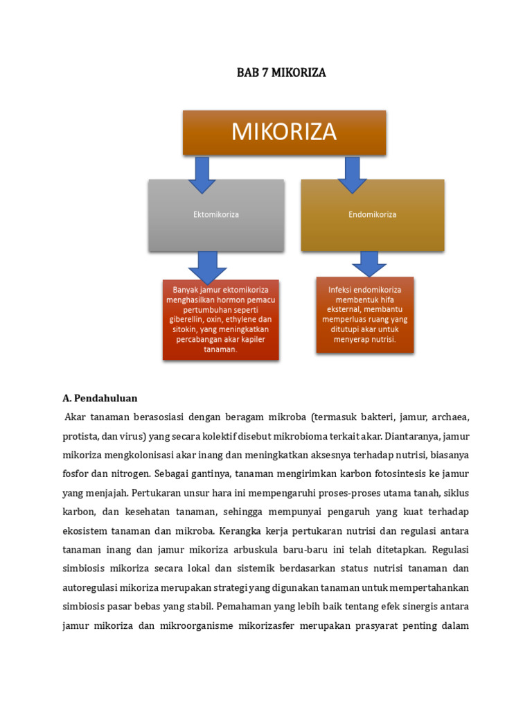 MIKORIZA KELOMPOK 7_ REVISI | PDF