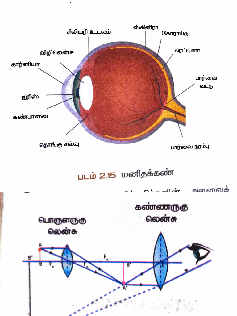 10th Science TM Diagrams | PDF