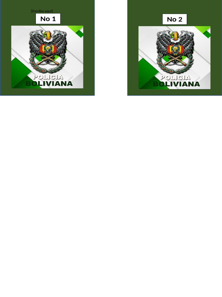 Credenciales Polivia Del 1 Al 6 | PDF