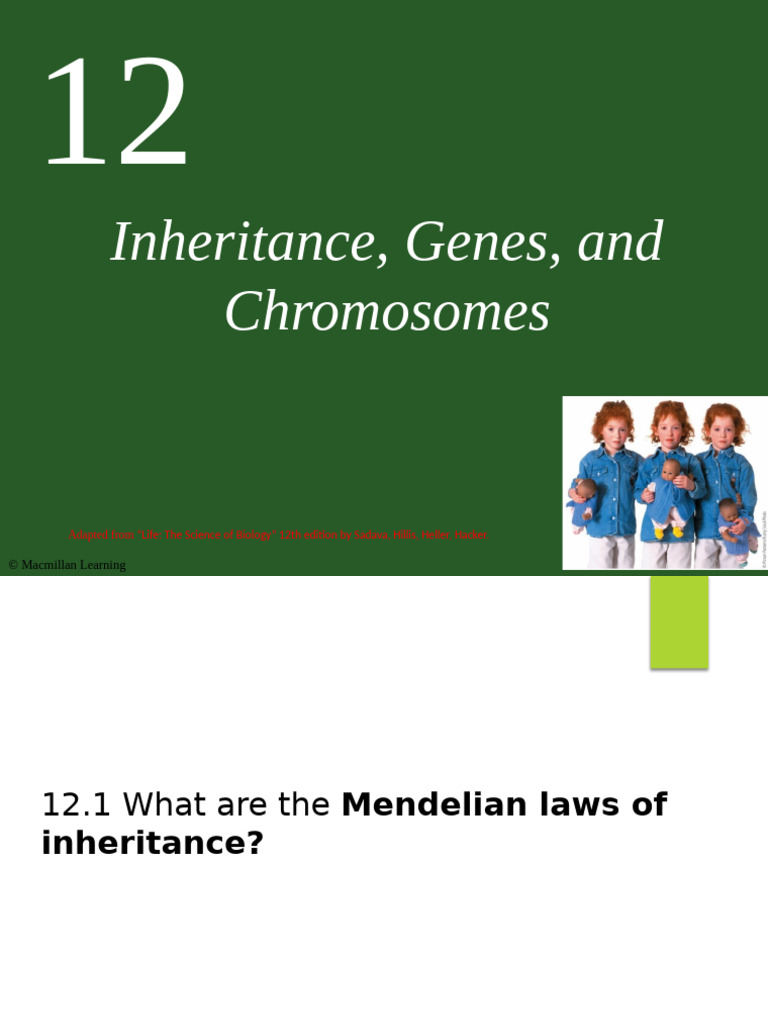 Chapter12 Inheritance Genes Chromosomes Short Version(1) | PDF ...