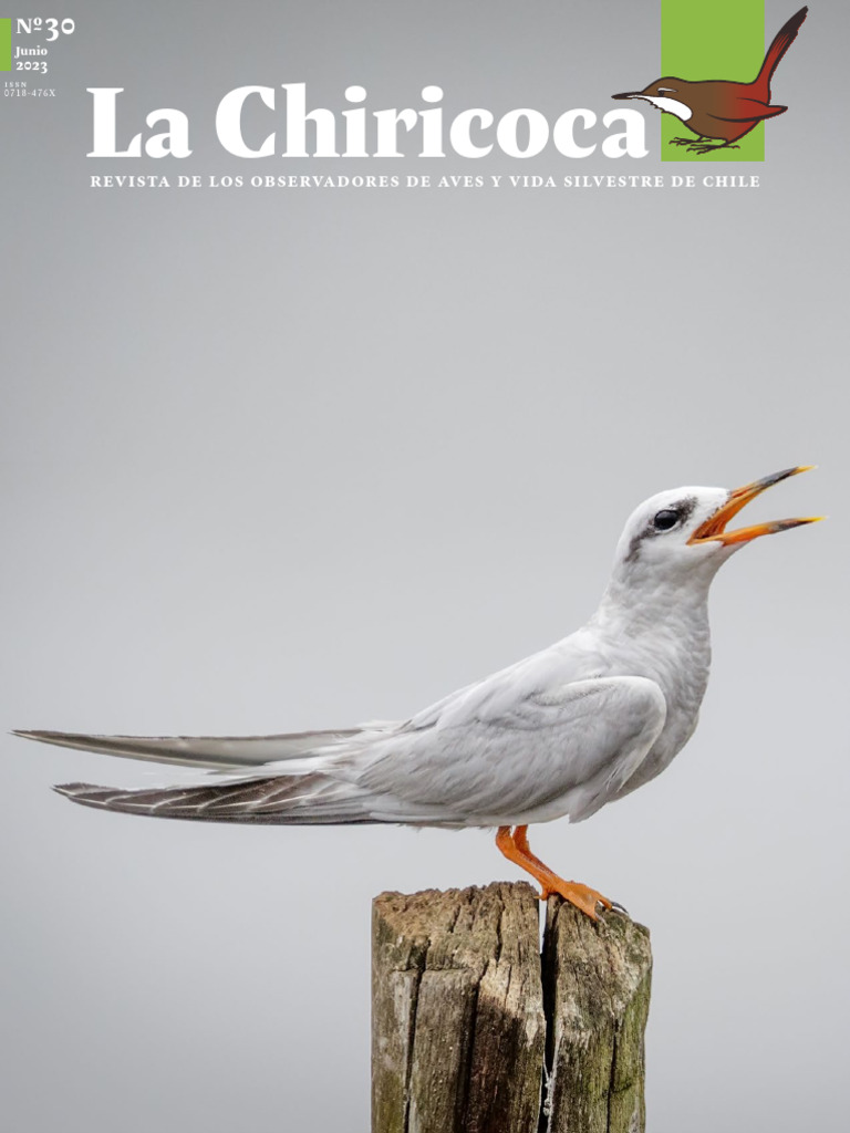 Avances de eBird en Chile: 15 años | PDF | Chile | Ornitología