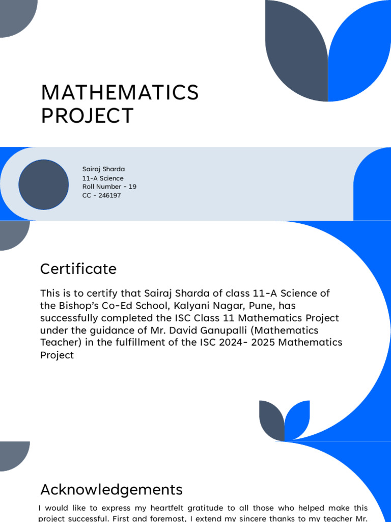 Sairaj Sharda 11AScience MathematicsProject2 2024-2025 | PDF | Function ...