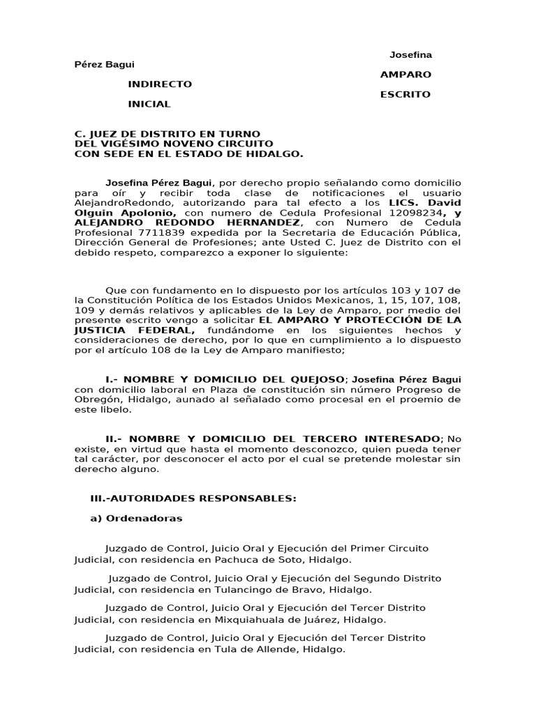 Amparo Contra Orden de Aprension | PDF | Violación | Derechos humanos