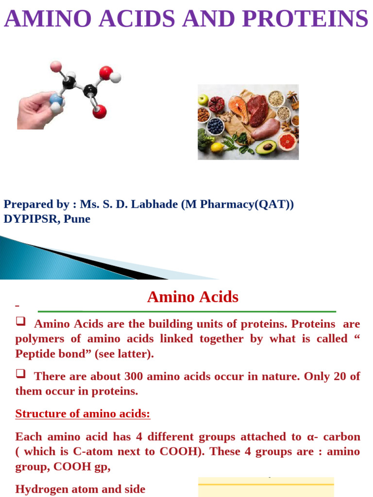Understanding Amino Acids and Proteins | PDF | Amino Acid | Protein ...