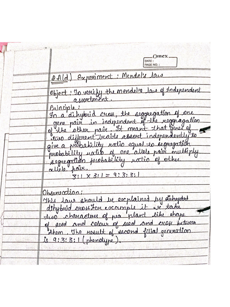 Practical Bio Project | PDF