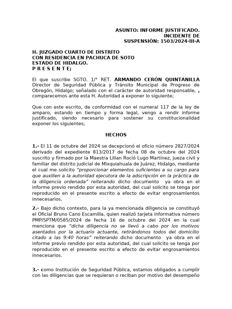 Informe Justificado | PDF | Gobierno | Justicia