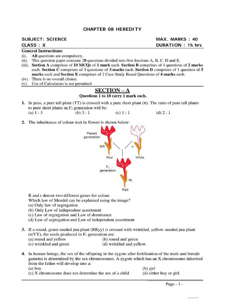 Test Heredity | PDF