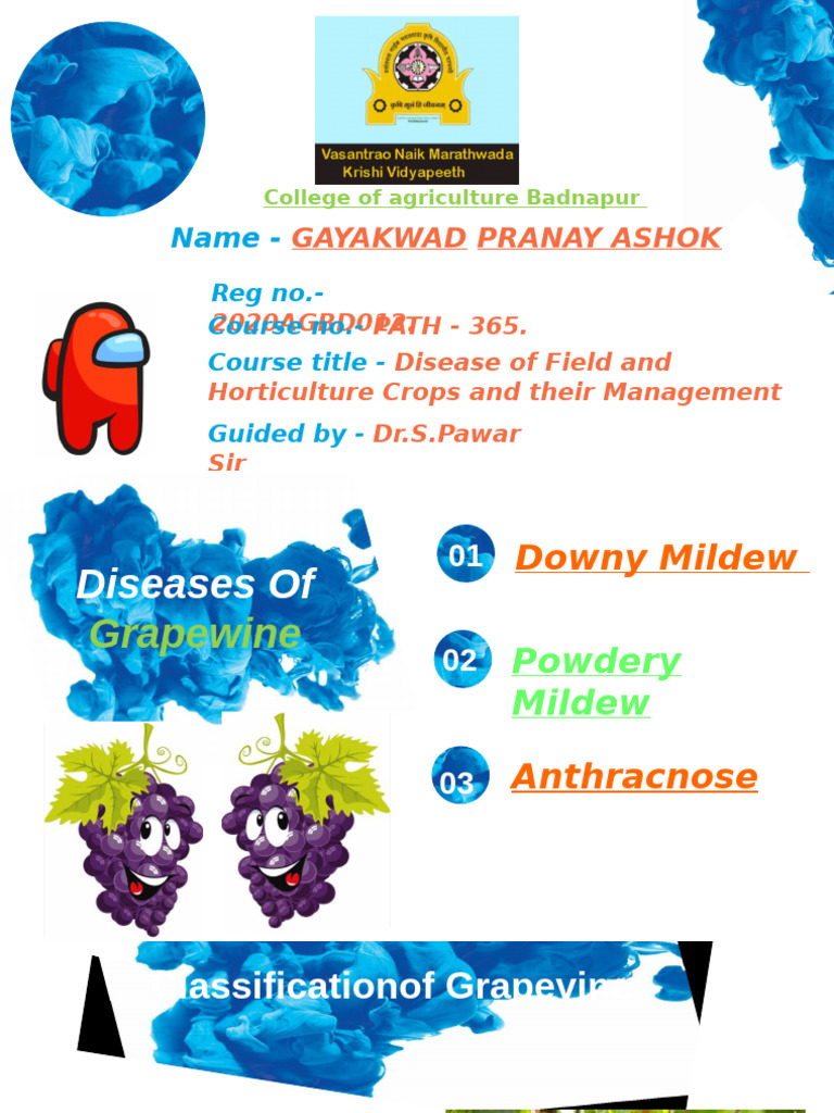 Pranay Gayakwad Grapevine | PDF | Vitis | Grape