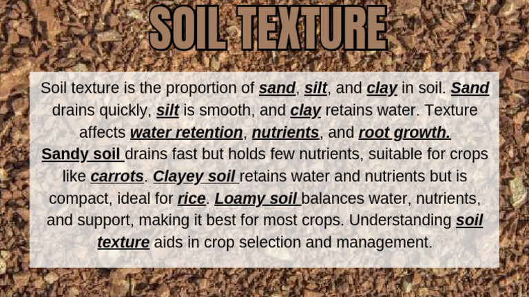Soil Texture for Crop Selection | PDF