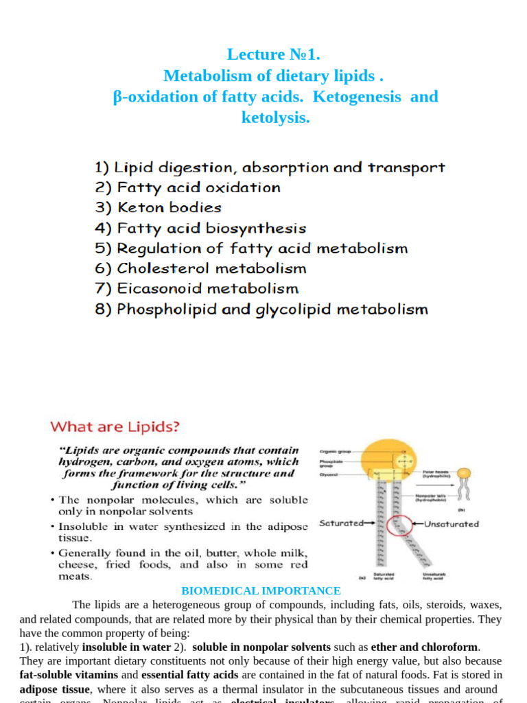 Lecture №1. Lipids metabolism | PDF | Ketosis | Citric Acid Cycle