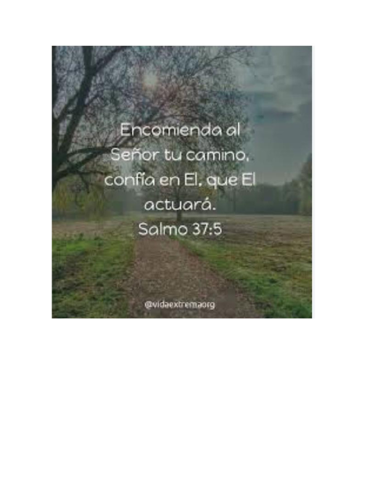 Salmo Pdf