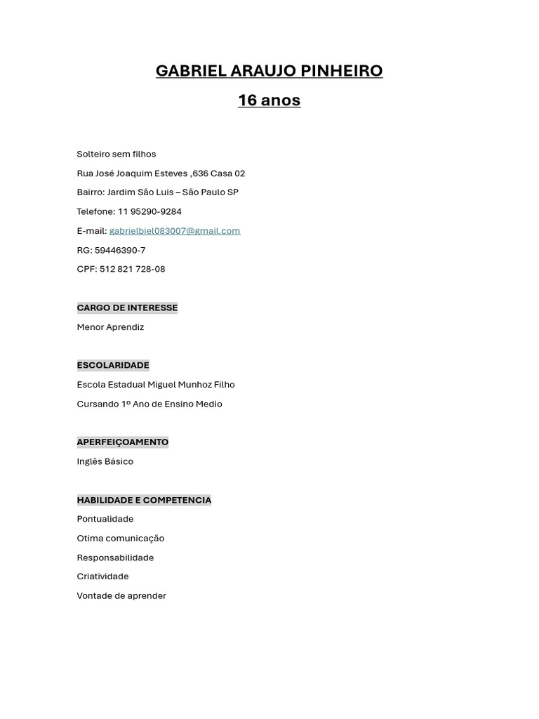 Curriculum Gabriel | PDF