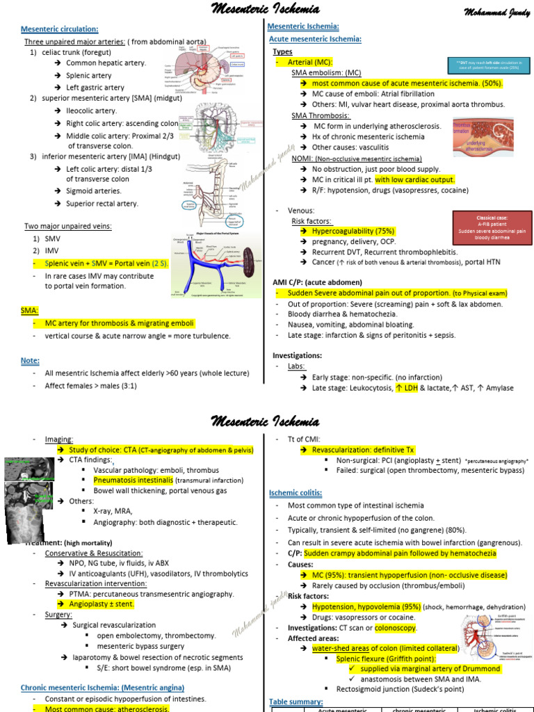 Mesentric Ischemia + Diverticulosis + LGIB. (3 in 1) | PDF | Ischemia ...
