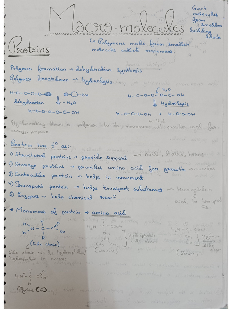 Macro 1 | PDF