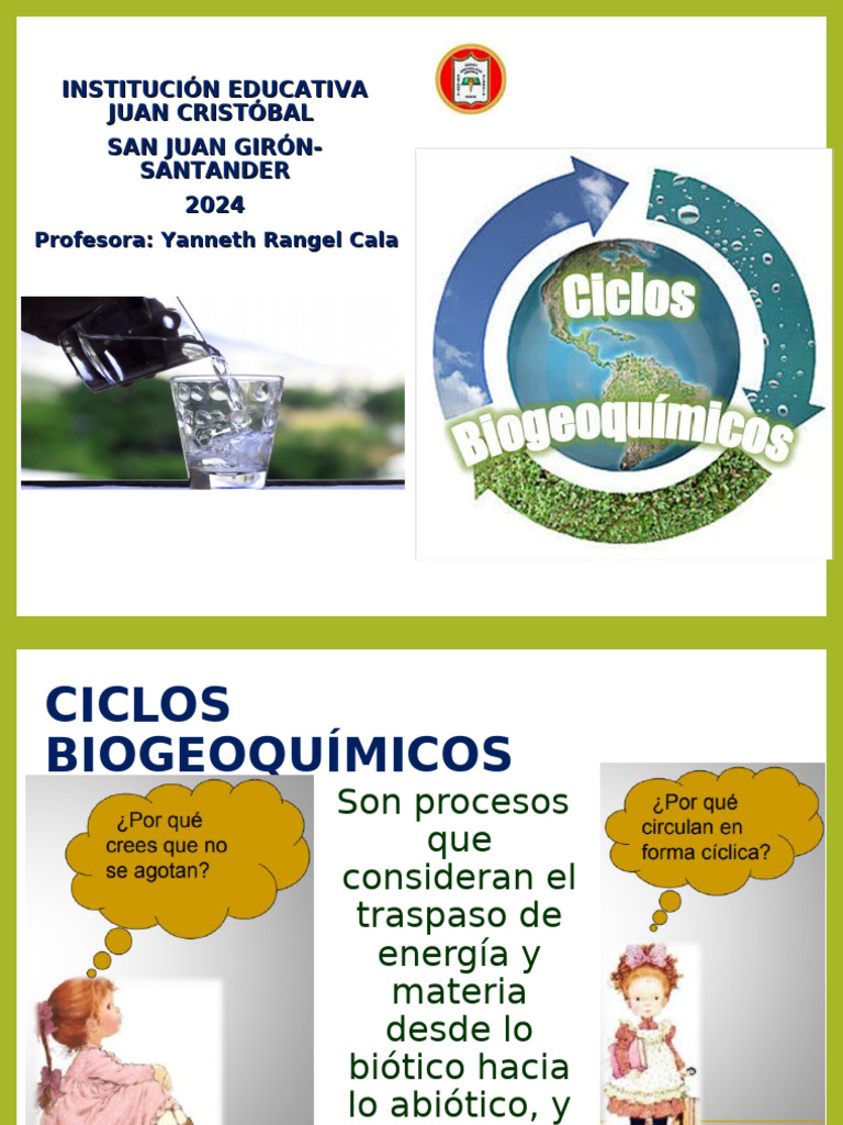 Ciclos Biogeoquimicos | PDF | Ciencias de la Tierra | Naturaleza
