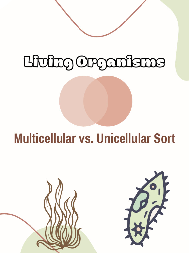Unicellular vs. Multicellular Sort Answer Key | PDF | Cell (Biology ...