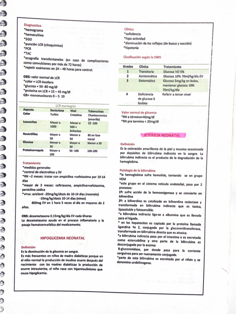 Icterícia neonatal | PDF