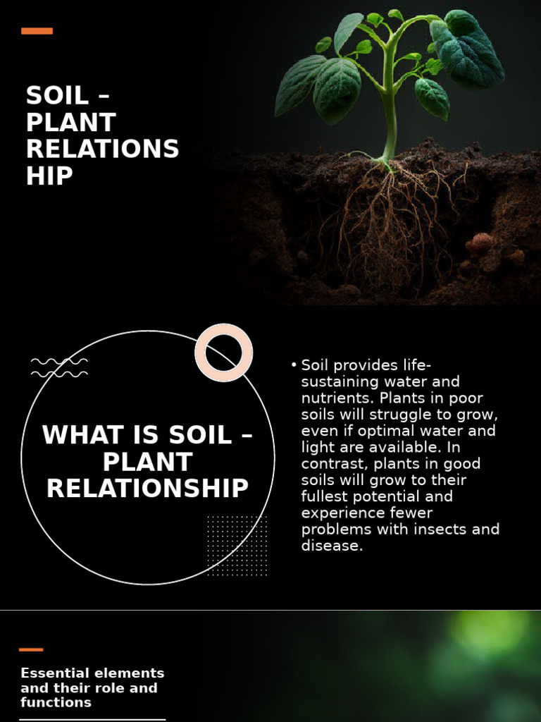 soils | PDF | Plant Nutrition | Soil
