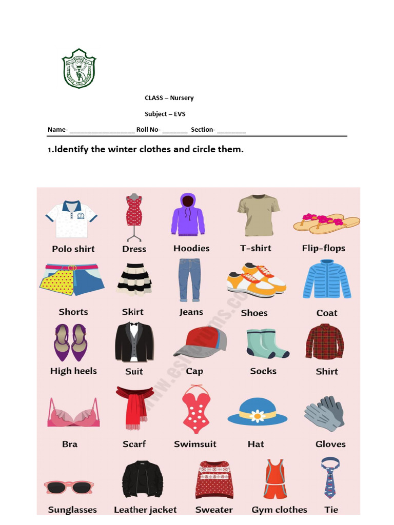 Evs Work Sheet For Nursery | PDF