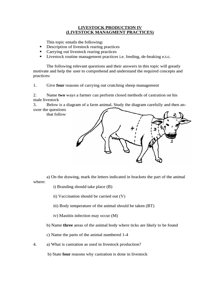 Livestock Management Practices Guide | PDF | Beehive | Sheep