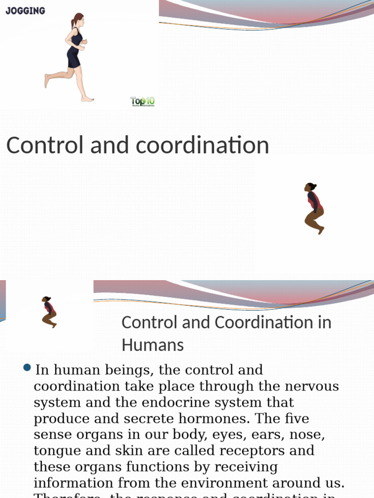 Control and Coordination | PDF | Central Nervous System | Neuron