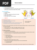 Mapa de Dermatomas y Lesiones Nerviosas | PDF | Mano | Nervio