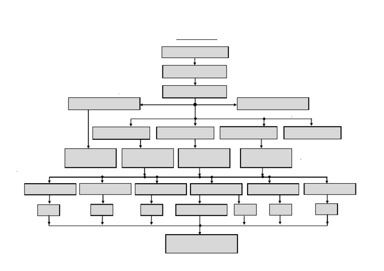 Civil Service Organogram Overview | PDF