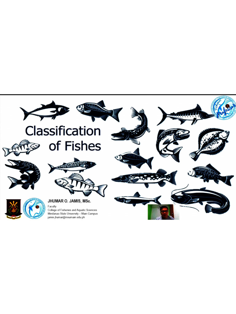 Classification of Fish | PDF