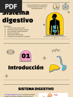 Omentos Mayor y Menor - Anatomía, Ubicación y Función - Kenhub | PDF ...