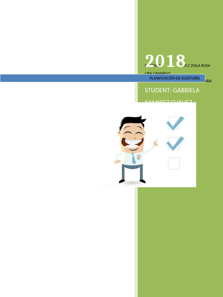 Tax Audit Planning | PDF | Audit | Internal Control Tax Audit Planning | PDF | Audit | Internal Control