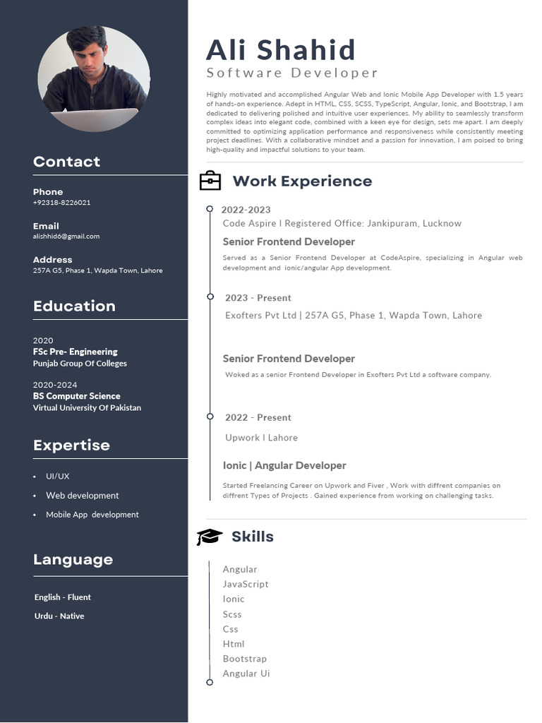 Professional | PDF | Mobile App | Web Development