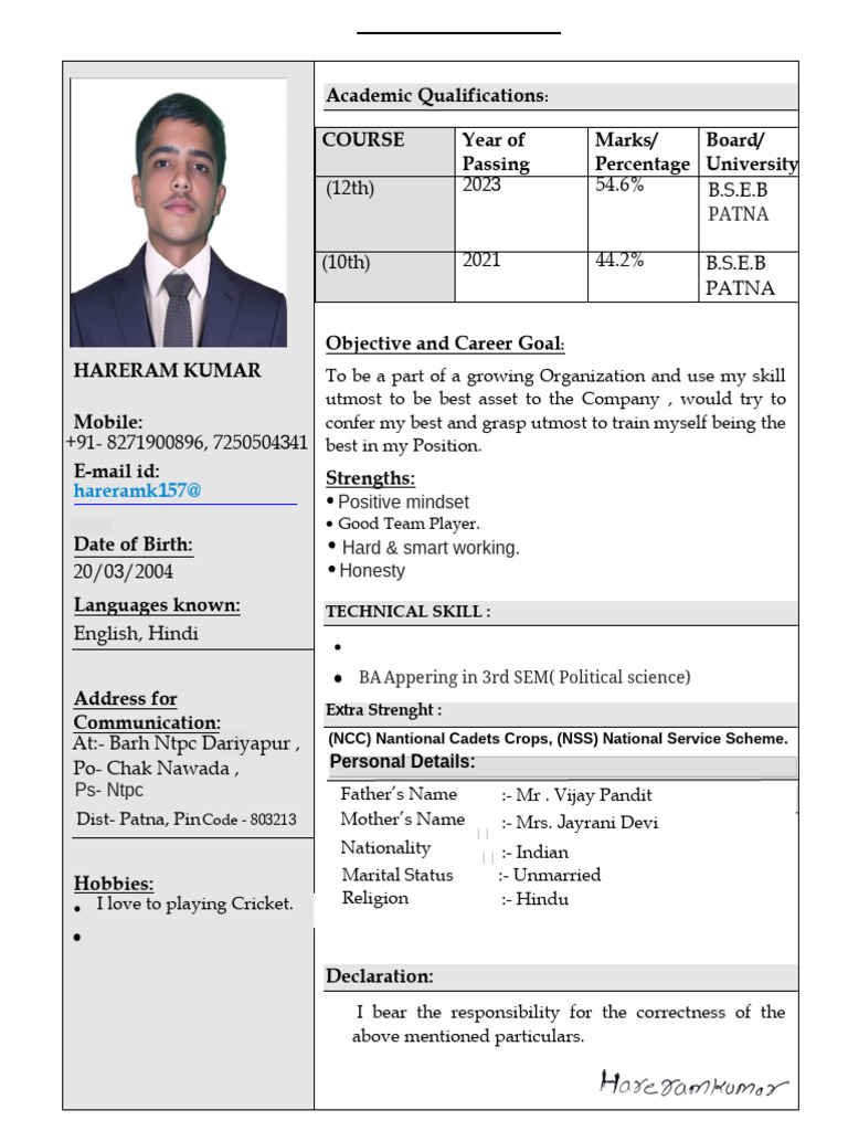 Resume Stylish | PDF