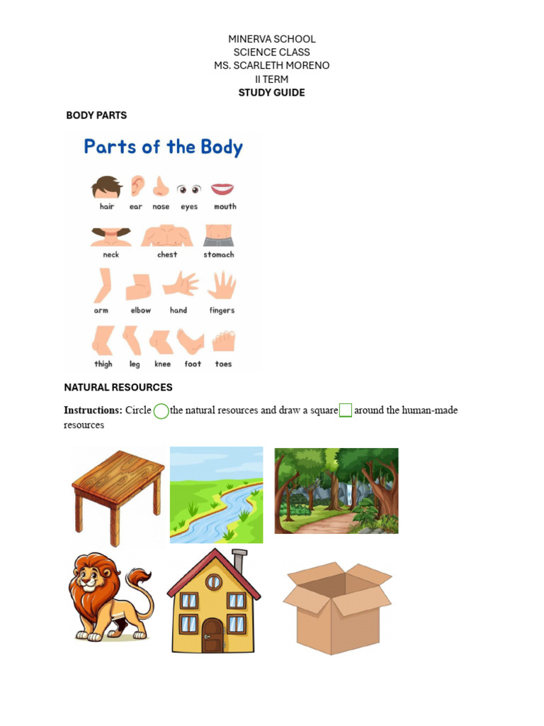 STUDY GUIDE, SCIENCE CLASS, 1ST GRADE | PDF