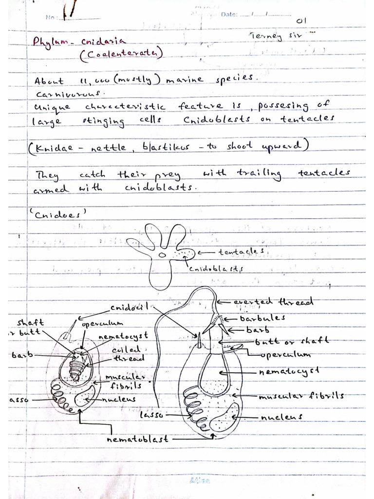 OCG1222 (Terney) Note | PDF