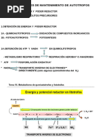 QUIMIOTROFOS | PDF | Sustancias químicas | Biología