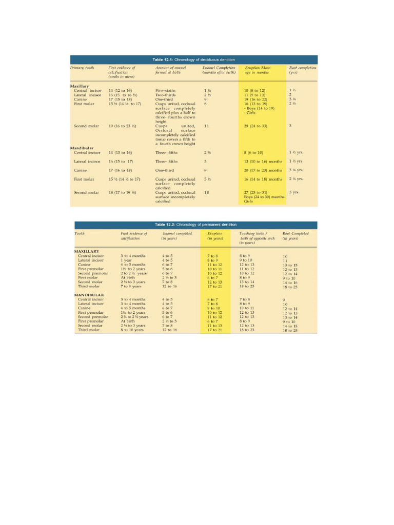 Eruption Table | PDF