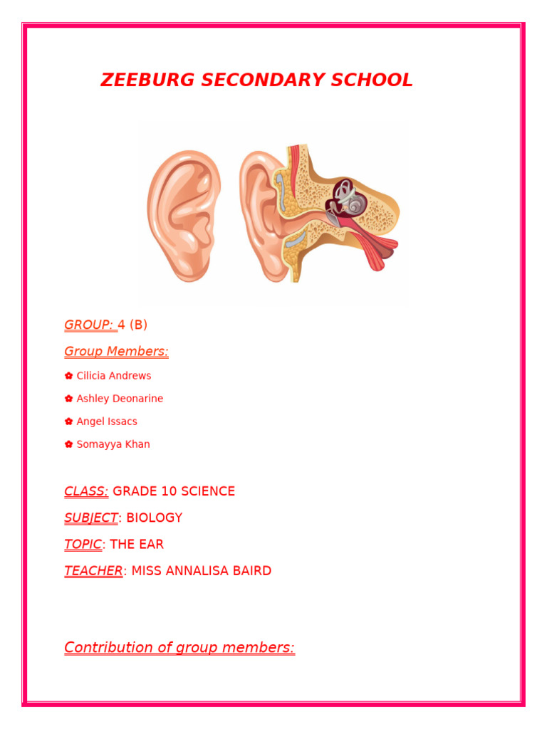 Biology Group Assignment (The Ear) | PDF | Ear | Hearing