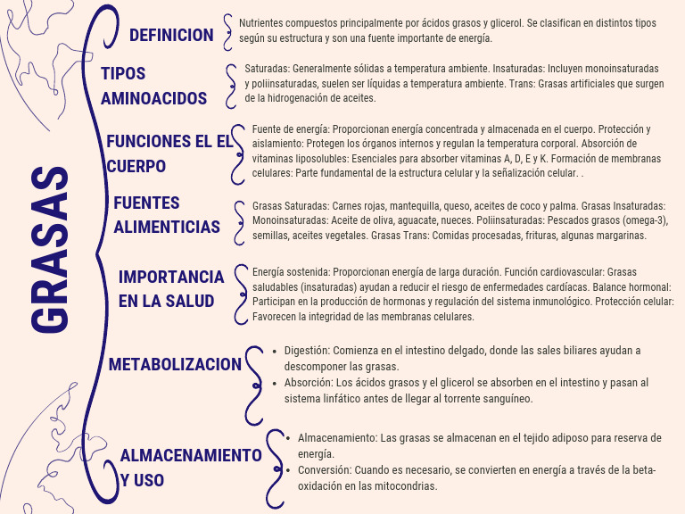 MAPA GRASAS ALEXANDRA Mira | PDF | gordo | Petróleo