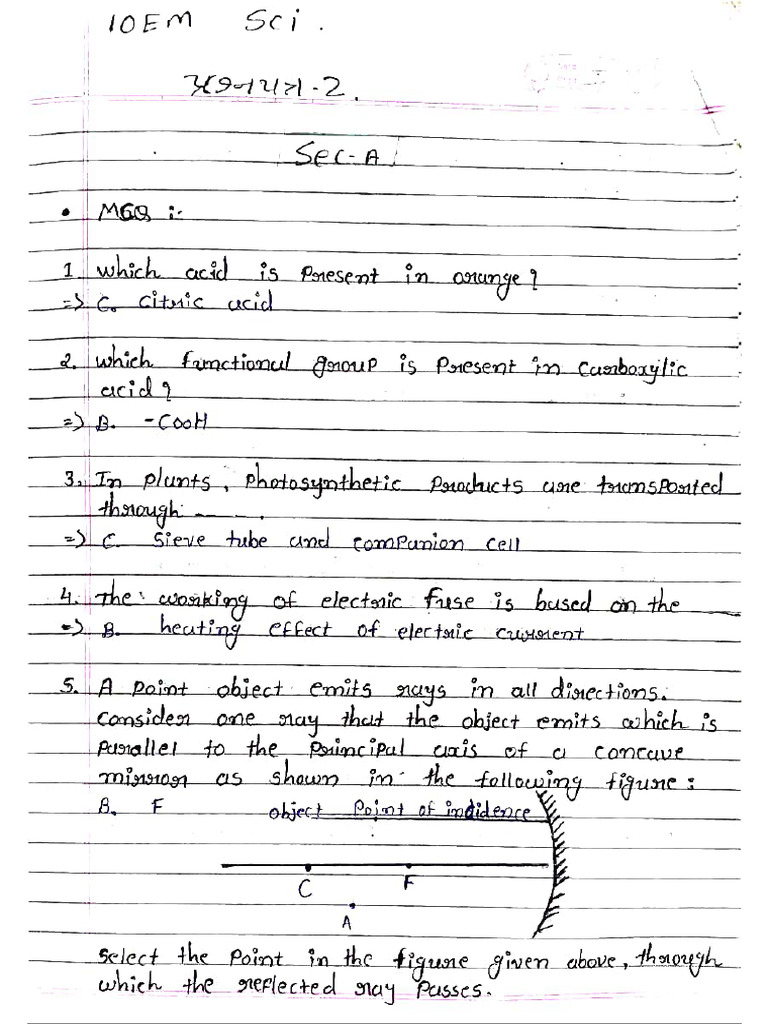 STD 10em Science Answer Key | PDF