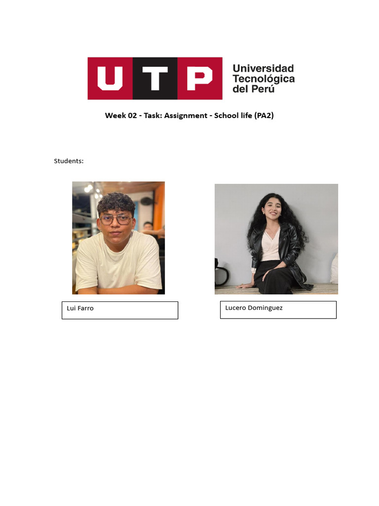 School Life (PA2) | PDF