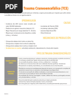 Tipos de Lesiones en El Traumatismo Craneoencefálico (TCE) - Laura Crisostomo | PDF | Neurología ...