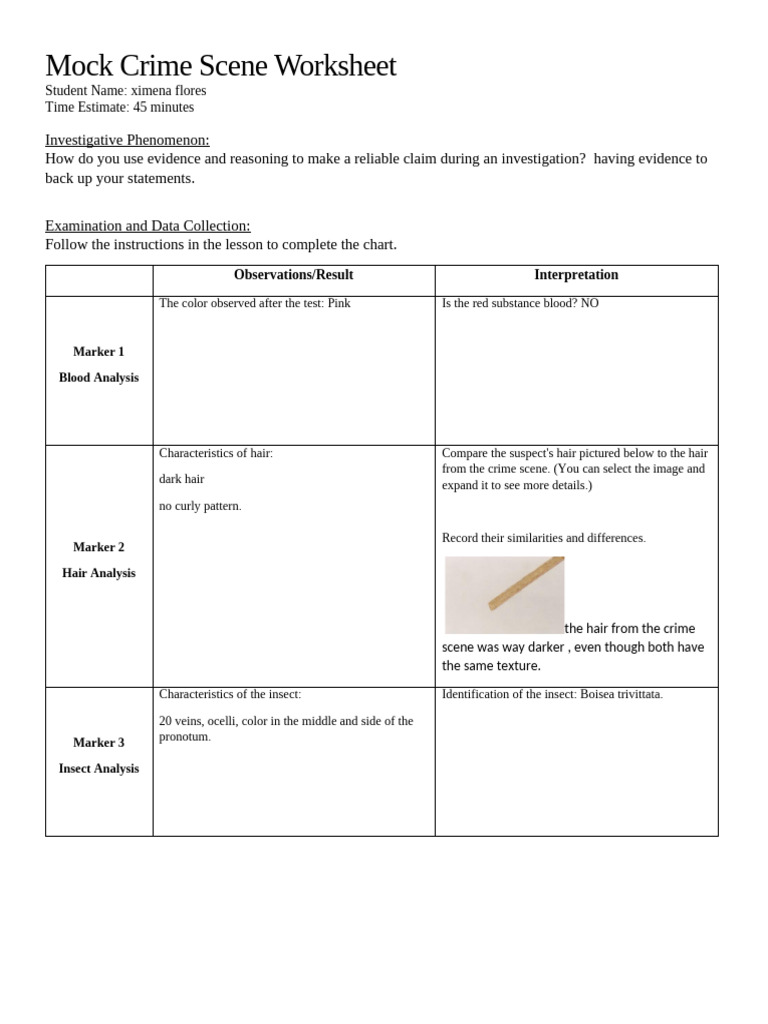 02.07 mock crime scene | PDF | Crime Scene