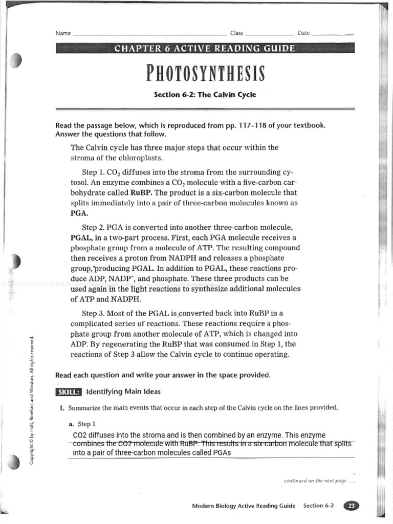Review Photo Cell Resp 0107 | PDF