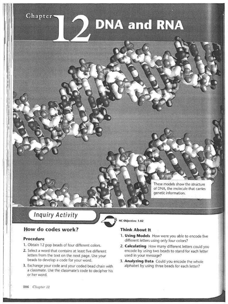 notes DNA sec rev structure 1014 | PDF