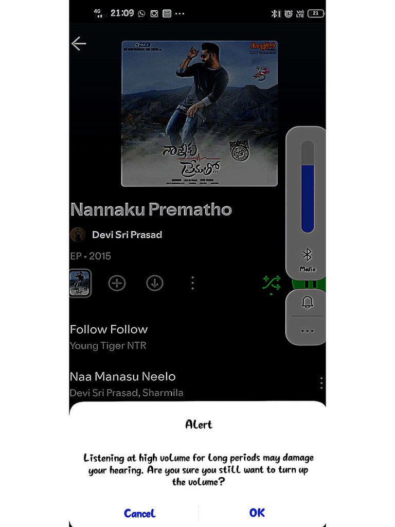 Naaa Bhai ? Busy | PDF