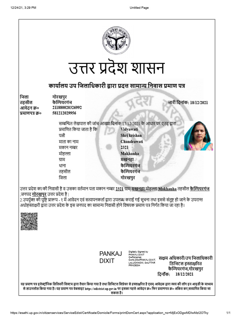 Vidya Domicile | PDF