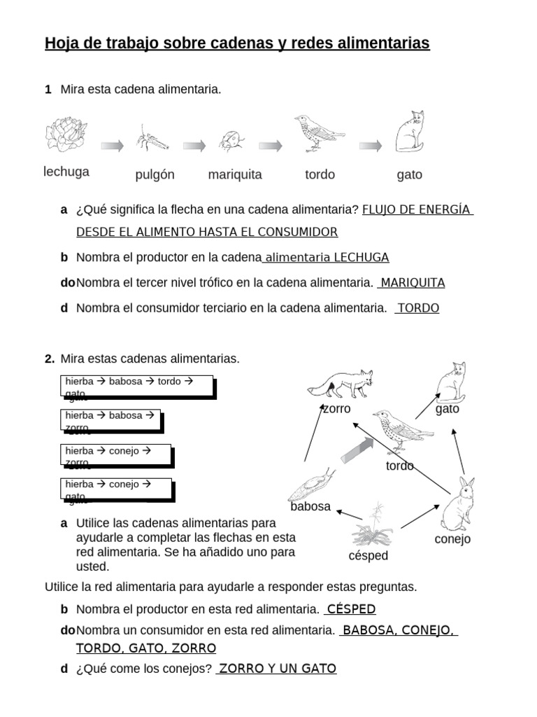 Hojas de Trabajo Sobre Redes Alimentarias y Cadenas Alimentarias ...