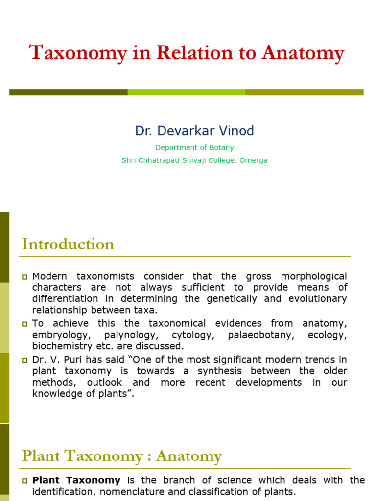 Taxonomy in Relation To Anatomy | PDF | Plant Stem | Taxonomy (Biology)