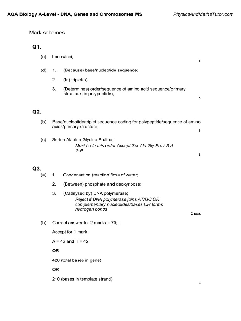 AQA Biology A-Level: DNA and Genes Mark Scheme | PDF | Dna | Gene